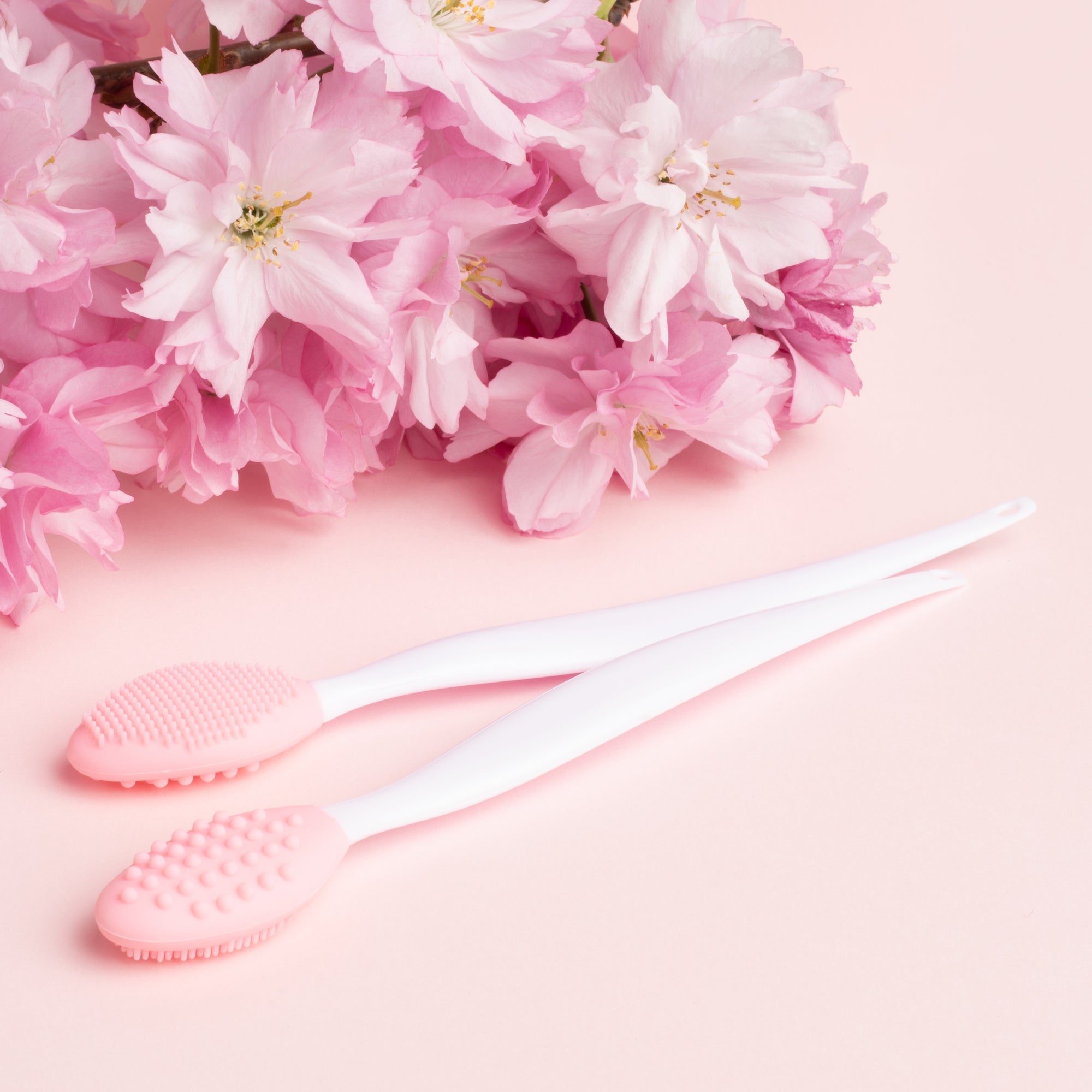 Bee Pampered Certified Trainer | Bee Pampered Certification Online ...